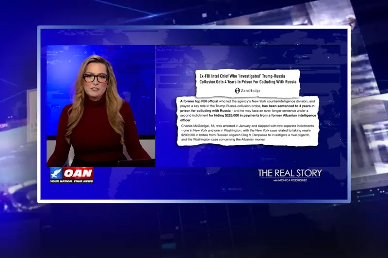 Mockingbird Media Puppets Coordinated Smear Campaign and Critical ...