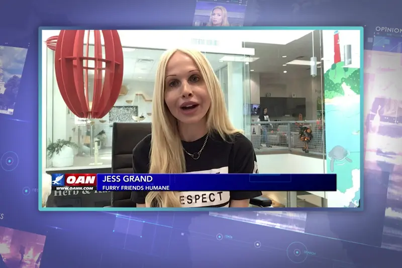 Dog Atop Great Pyramid – One America News Network