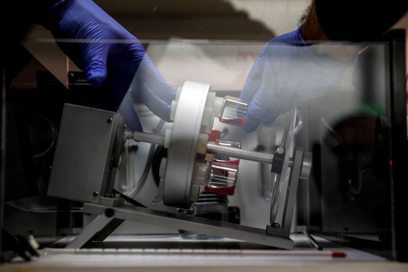 A model of an early-stage human embryo, created by Israeli – One ...